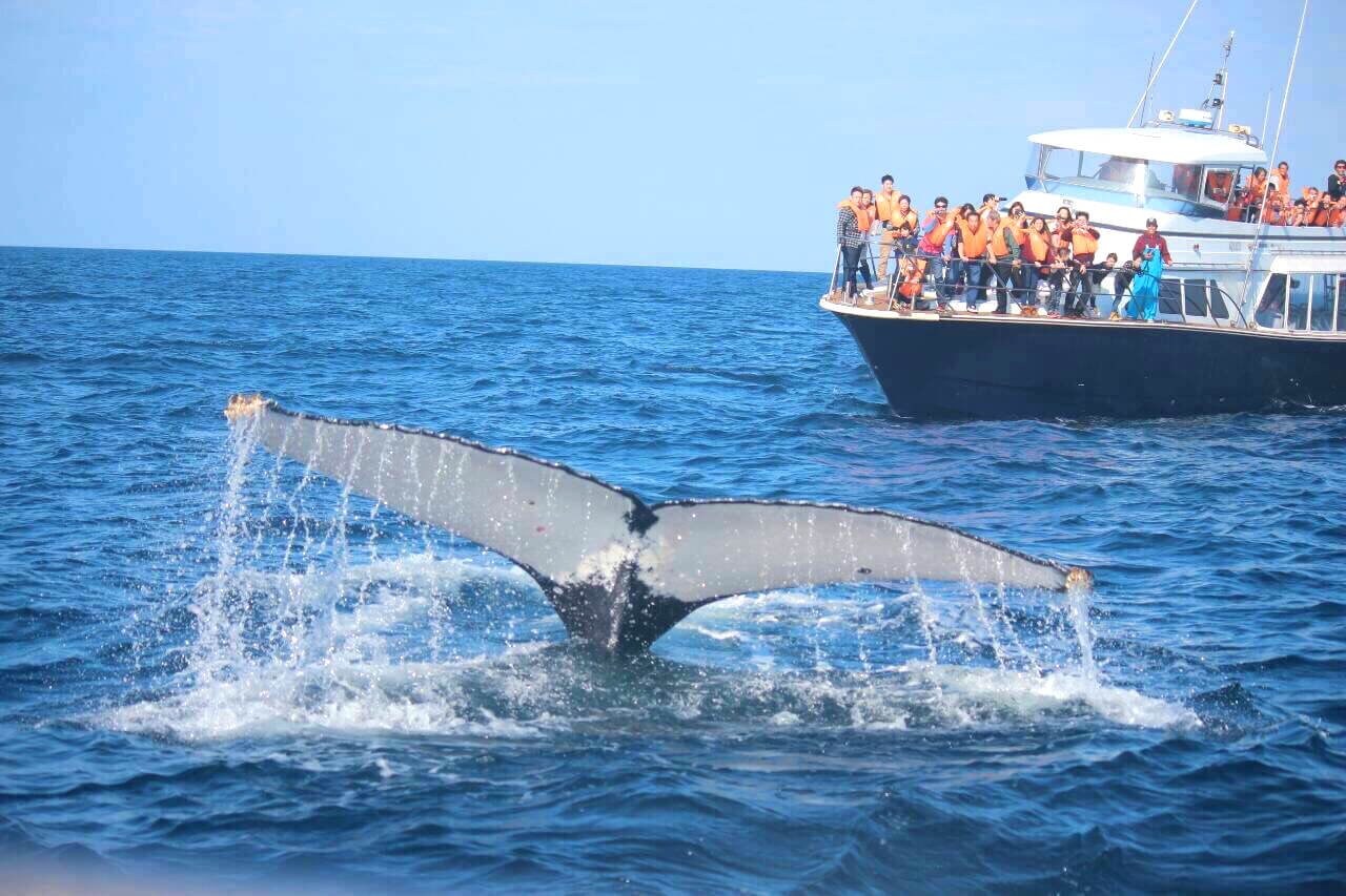 2026 Edition] Full of Off-Season Fun! 6 recommended places to visit in ...